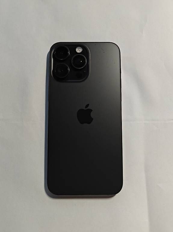 IPhone 15 Pro Max 256 GB (Gebraucht) in Rubigen für CHF 570 – mit ...