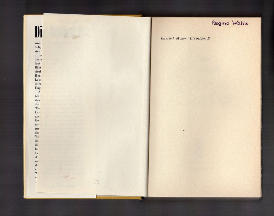 Die beiden B Bärtschis und Bobelis Familiengeschichte 1959 | Kaufen auf ...