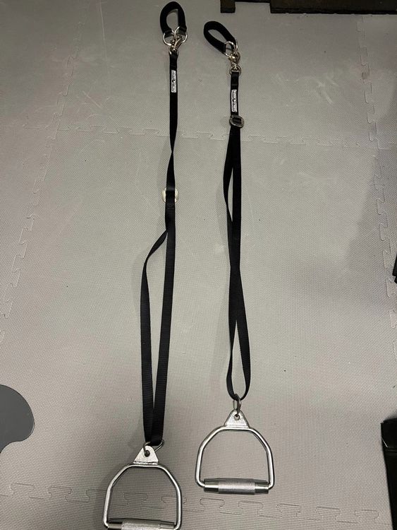 EliteFTS Blast Straps Schlingentrainer | Kaufen auf Ricardo