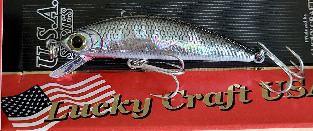 Lucky Craft Humpback Minnow 50SP - Bait Fish Silver (Neu und ...