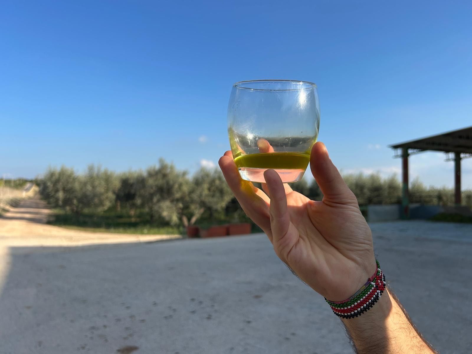 2025 Extra Virgin Olive Oil - 5 Liter bag in box (Neu und ...