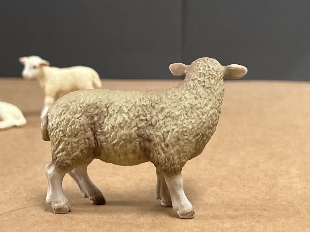 Schleich Schaf Lamm Schafe Schafbock | Kaufen auf Ricardo