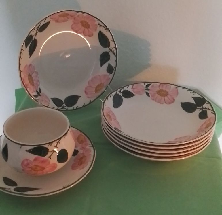 "Wild - Rose" Villeroy& Boch, 6 tiefe Teller, 1 Sauciere | Kaufen auf Ricardo