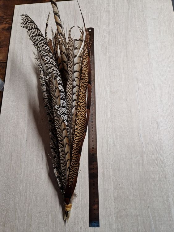 Lange Federn Mix Set (Gebraucht) in Fischingen für CHF 45 – nur Abholung auf Ricardo kaufen