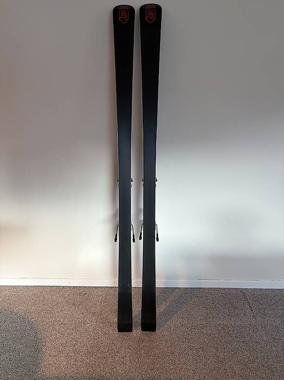 Skis Van Deer PRO S (D'occasion) à Chêne-Bourg pour CHF 700 – retrait ...