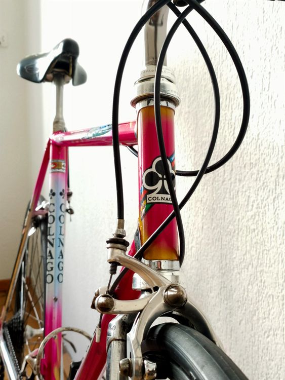 Colnago Master Olympic, Campagnolo 8v, Stahlrahmen Columbus (Gebraucht ...