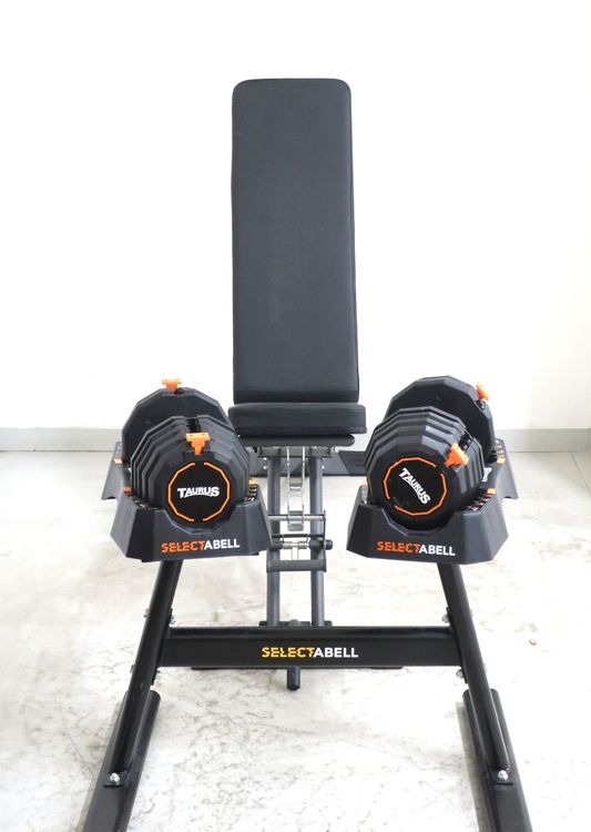 Taurus Selectabell Plus Hantel-Set (Gebraucht) in Volketswil für CHF ...