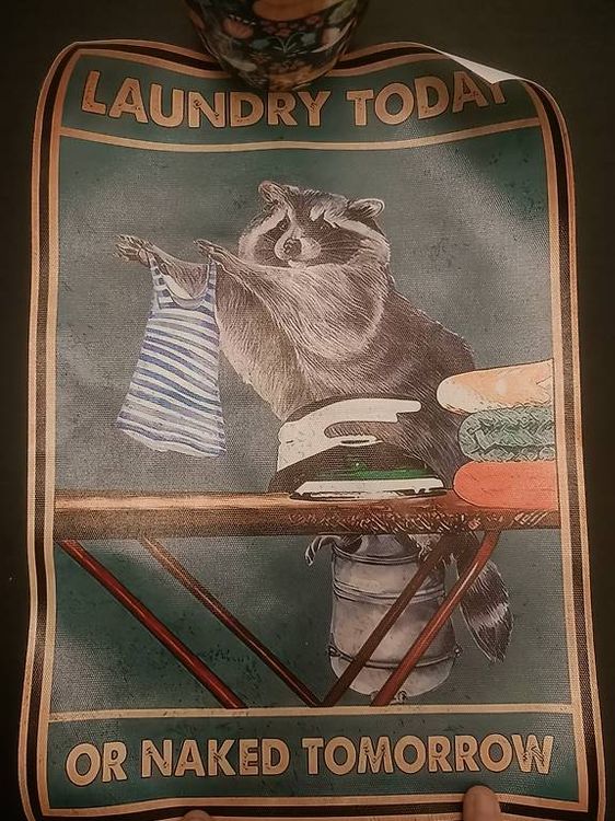 Affiche sur toile, humour, lessive | Kaufen auf Ricardo