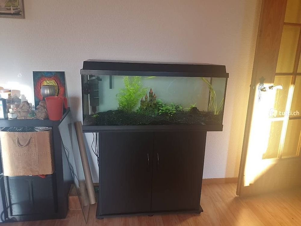 Aquarium 160 Liter | Kaufen auf Ricardo