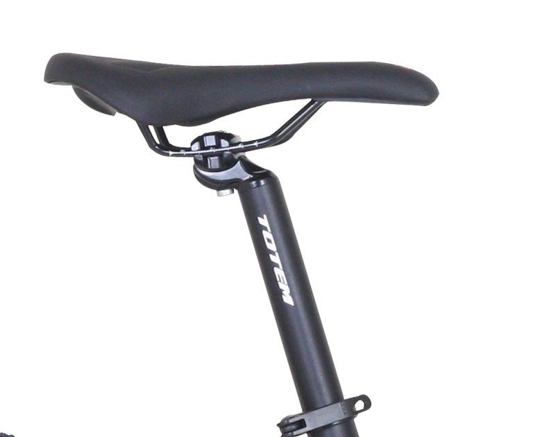 MTB Fatbike 24" BEARGIRL (Neu und originalverpackt) in Baar für CHF 298 ...