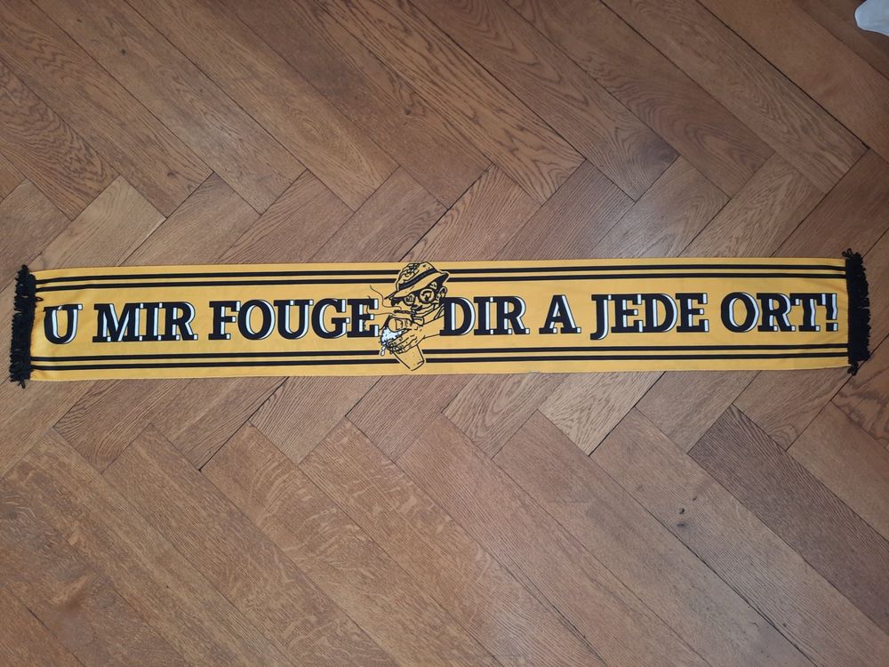 BSC YB Young Boys Bern Schal Ostkurve OKBE (Neu (gemäss Beschreibung ...