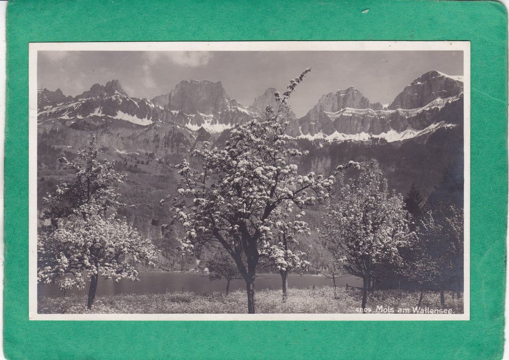 Mols am Wallensee Walensee | Kaufen auf Ricardo