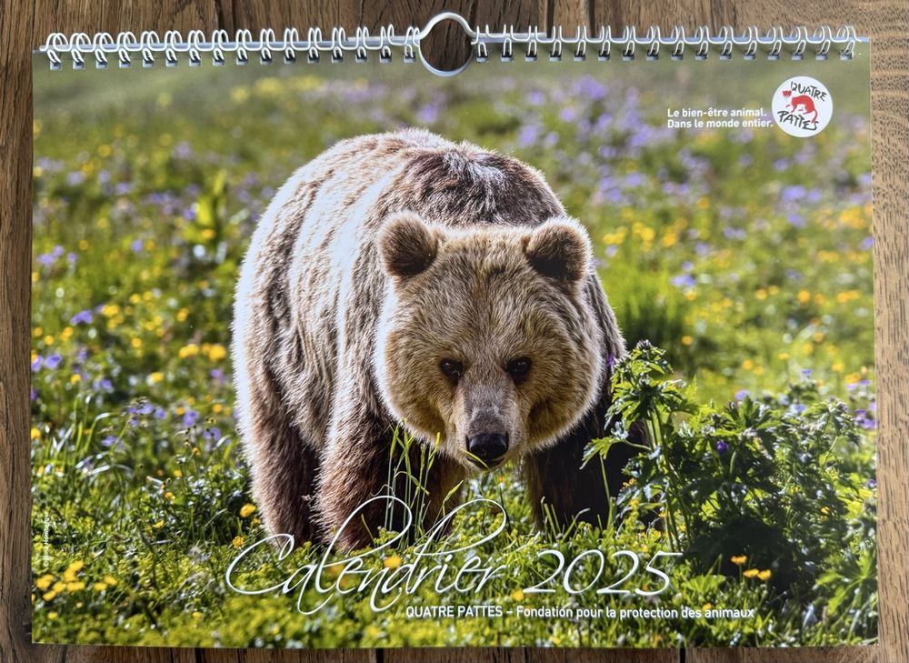 Calendrier 2025 d’animaux (Neu und originalverpackt) in Riddes für CHF 2.5 – mit Lieferung auf ...