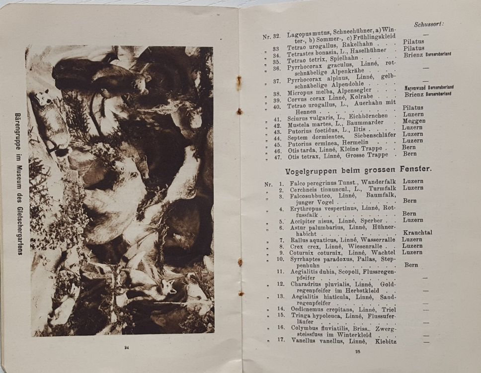 Prof. Albert Heim 1930, als Gletscherschwund kein Thema war (Gebraucht ...