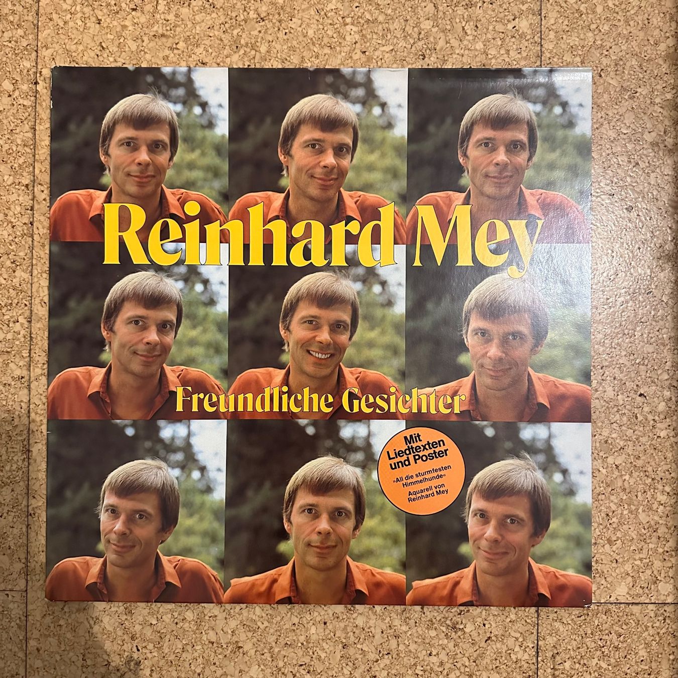 LP - Reinhard Mey (Usato) a Breganzona per CHF 1 – solo ritiro ...