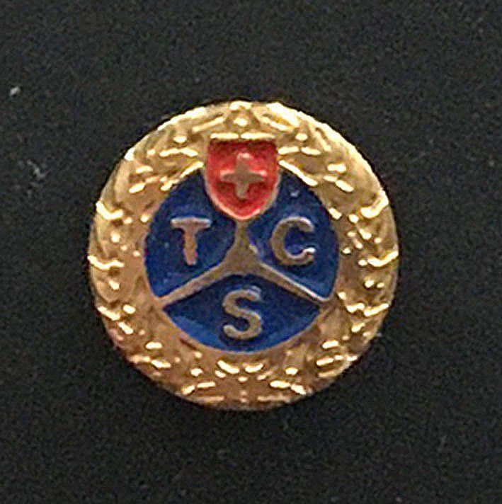 Pin, TCS, Gold (Neu und originalverpackt) in Füllinsdorf für CHF 1 ...