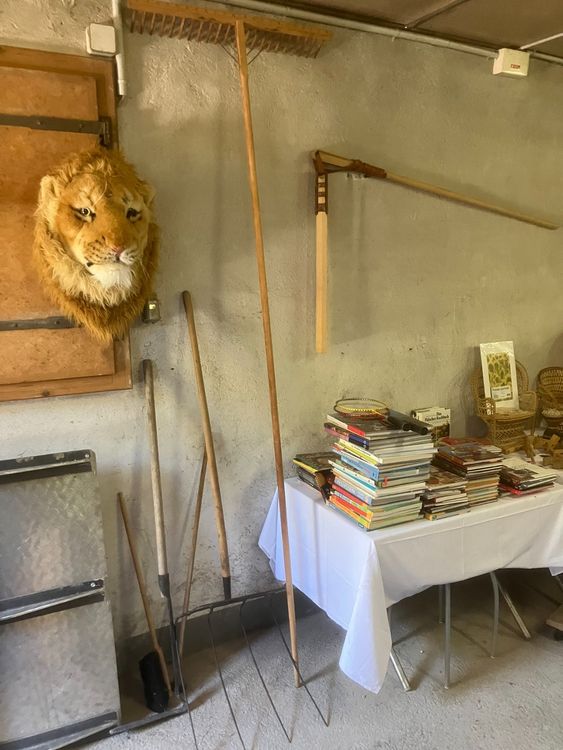 Alte Werkzeuge fürs Feld,Dreschflegel,Holzrechen,Gabel (Gebraucht) in ...