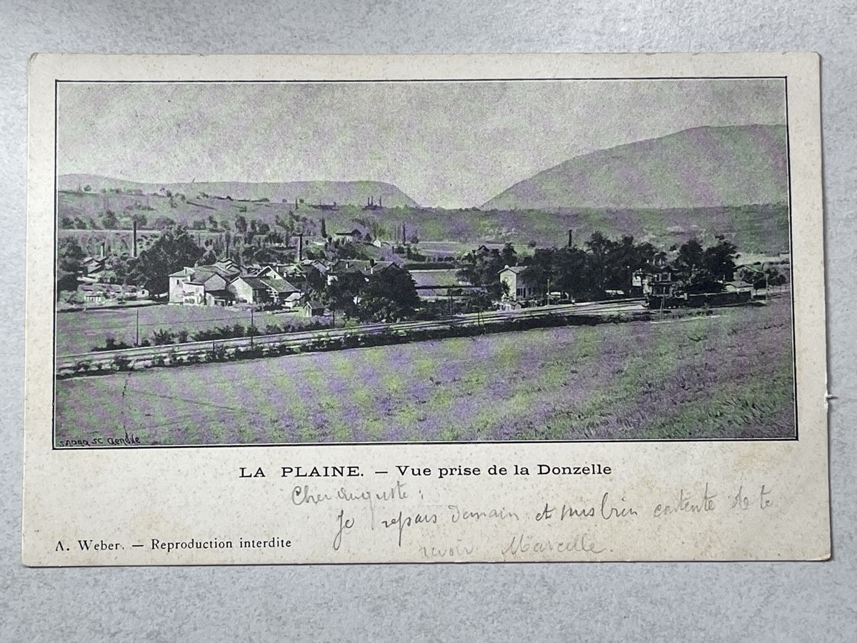 vue prie de la Donzelle, La Plaine VD (Gebraucht) in Strengelbach für ...