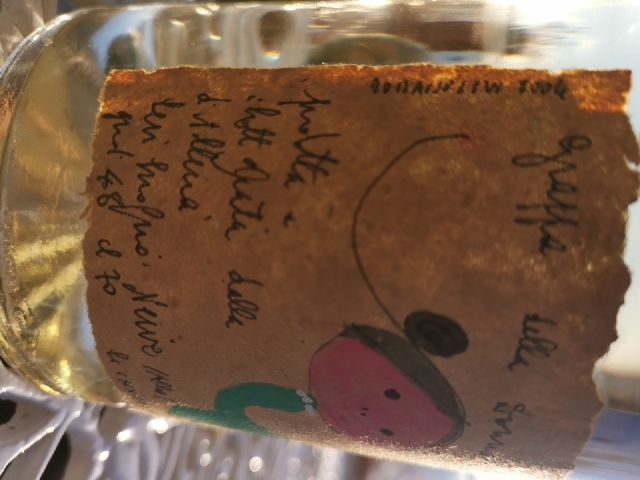 Grappa Levi, Neive, 2004. Etikett dunkel, Donna Selvatica | Kaufen auf ...