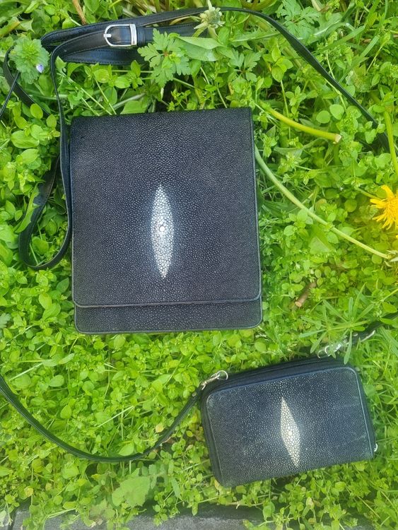 Genuine Stingray Skin Leather | Kaufen auf Ricardo