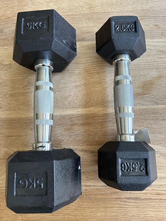 Hand Hanteln 2.5kg und 5kg (Gebraucht) in Reutlingen für CHF 10 – nur ...
