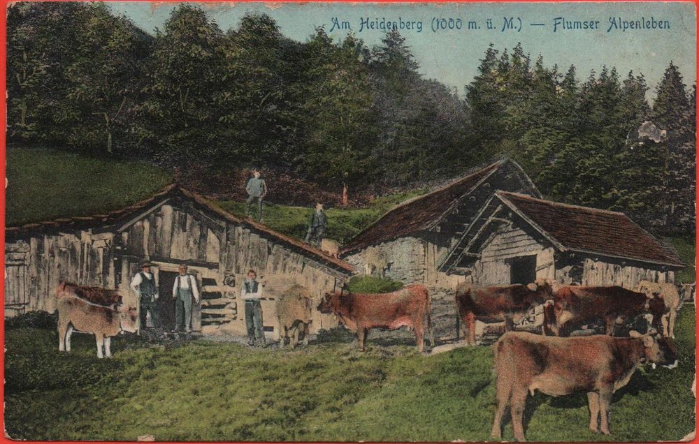 FLUMS Flumser Alpenleben am Heidenberg, Bauer mit Kühen (Neu (gemäss ...