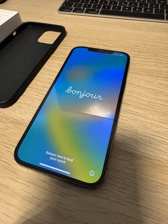 iPhone 12 Pro Max 256GB Graphite - Neuf | Kaufen auf Ricardo