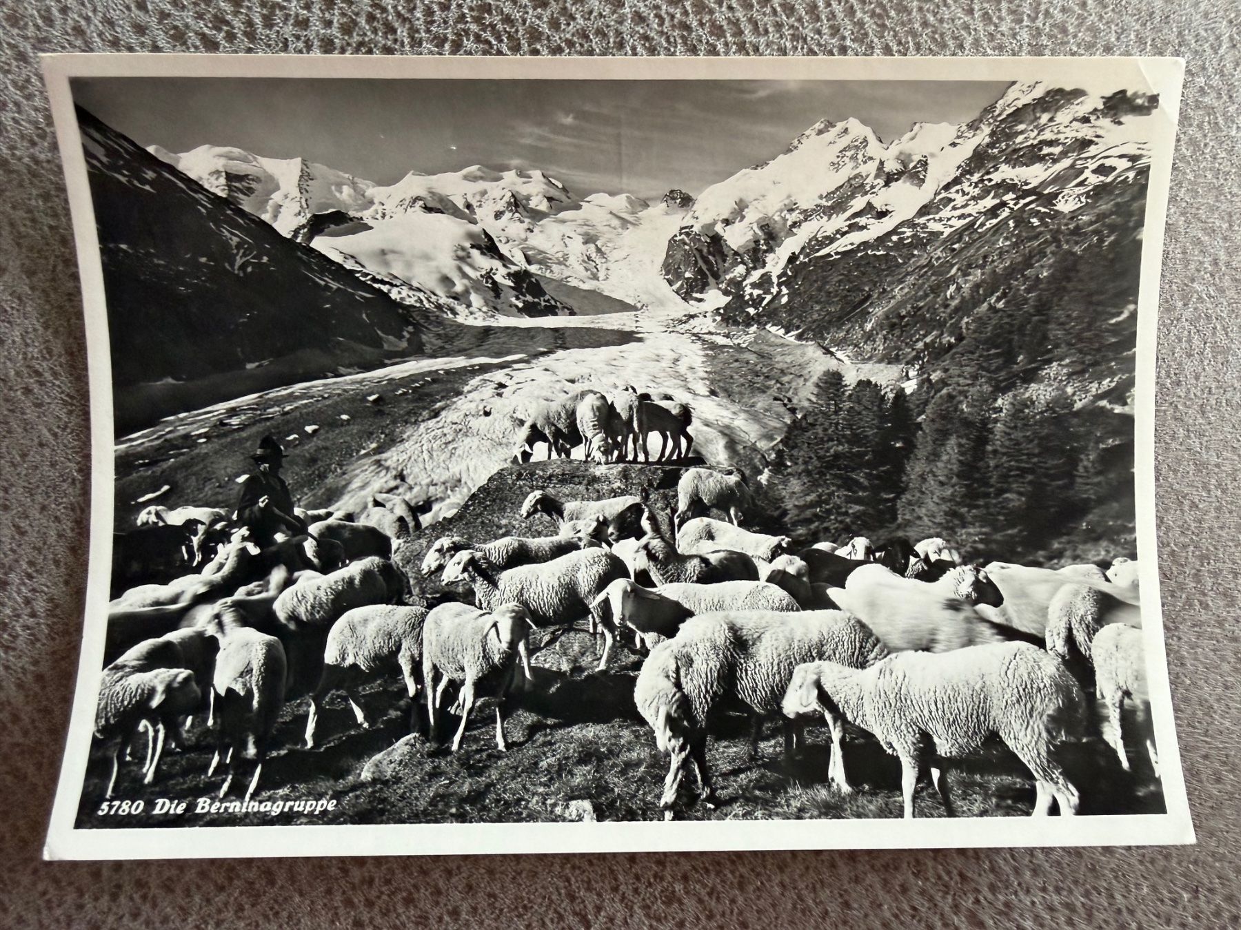 Albert Steiner St. Moritz, Berninagruppe, Puschlav, Engadin (Gebraucht ...