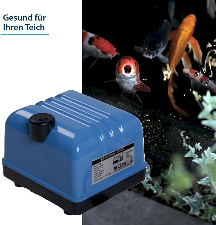 AquaForte V-Serie Hi-Flow V-60 (Neu und originalverpackt) in ...