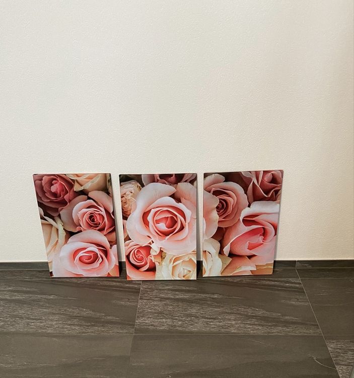 Bilder auf Leinwand | Kaufen auf Ricardo