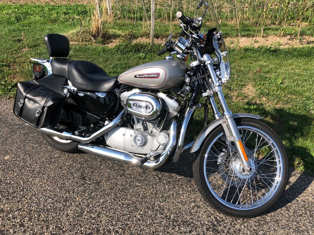 Harley Davidson XL 883 Custom | Kaufen auf Ricardo