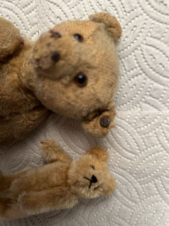 Teddy Steiff antik 2 Stück (Gebraucht) in Schüpfheim für CHF 222 – mit Lieferung auf Ricardo kaufen