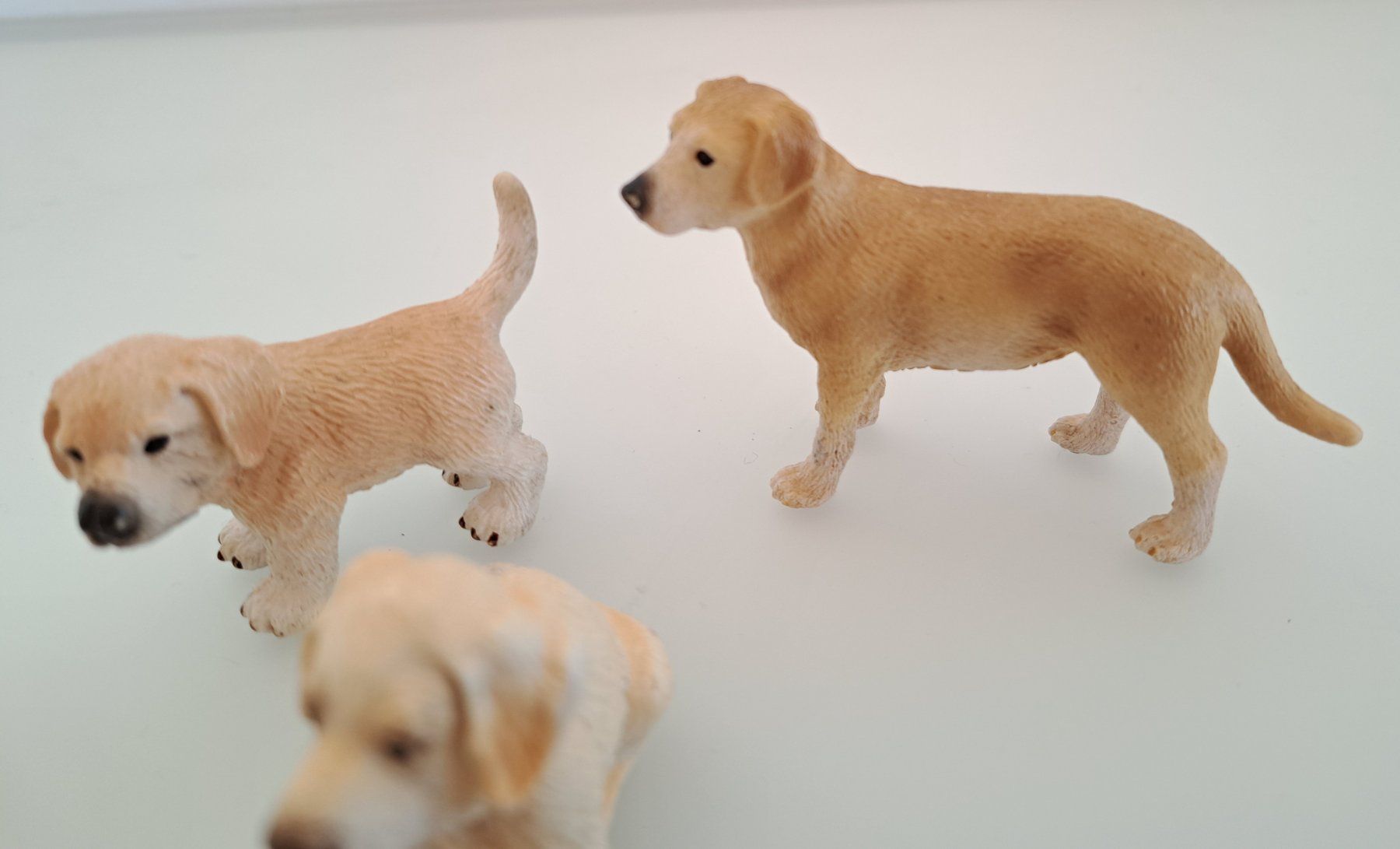 Schleich Hunde Labrador Welpen, 4 Stk. Top Zustand! (Gebraucht) in ...
