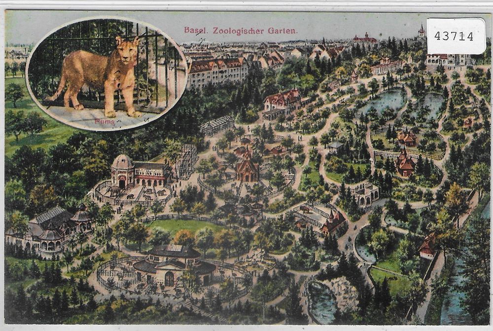 Basel - Zoologischer Garten - Übersicht - Litho (Gebraucht) in Ettingen für CHF 4 – mit ...