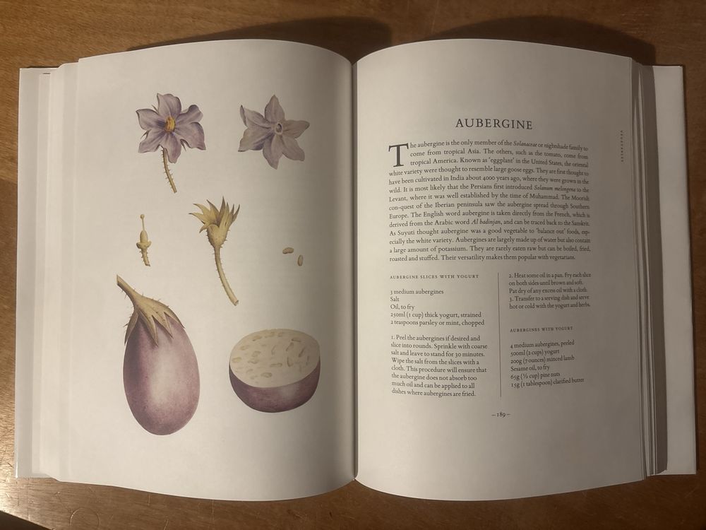 God's Cookbook. Tracing culinary traditions of the Levant (Gebraucht ...