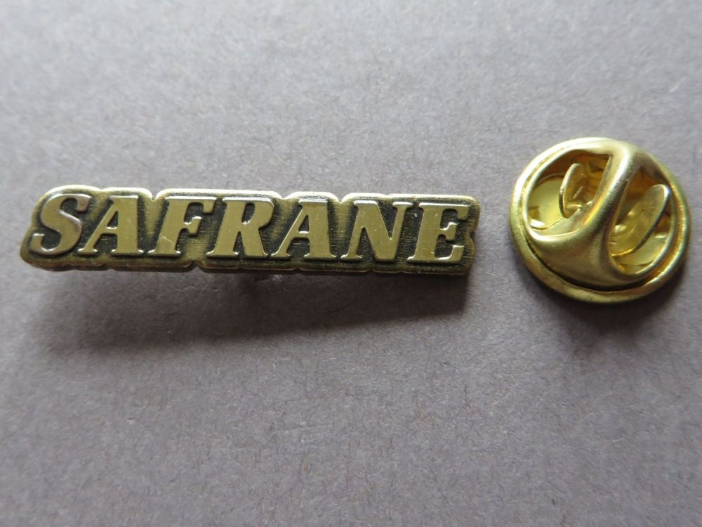 PIN, AUTO RENAULT SAFRANE LOGO (Gebraucht) in Neuhausen für CHF 0.7 ...