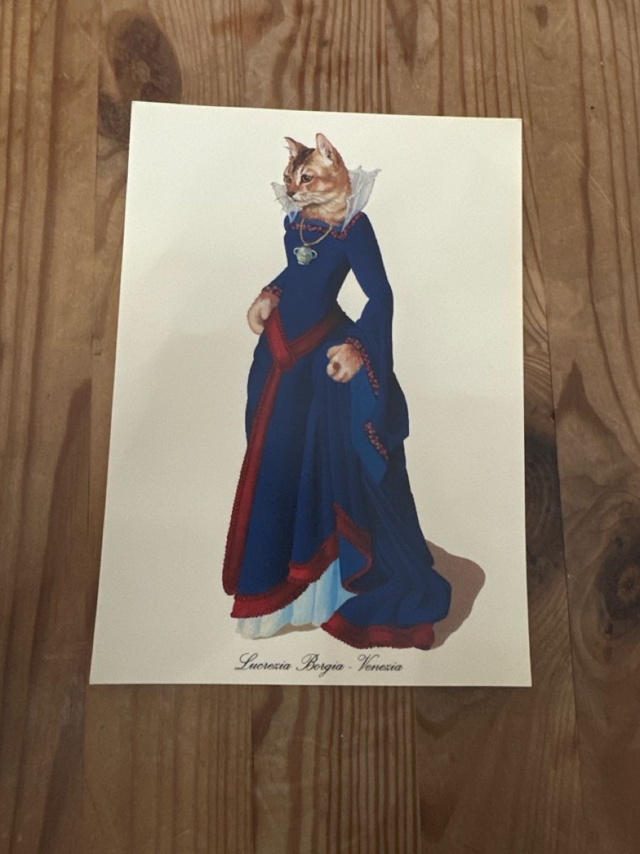 Venice chat cart postale 4 (Gebraucht) in Martigny für CHF 3 – mit ...