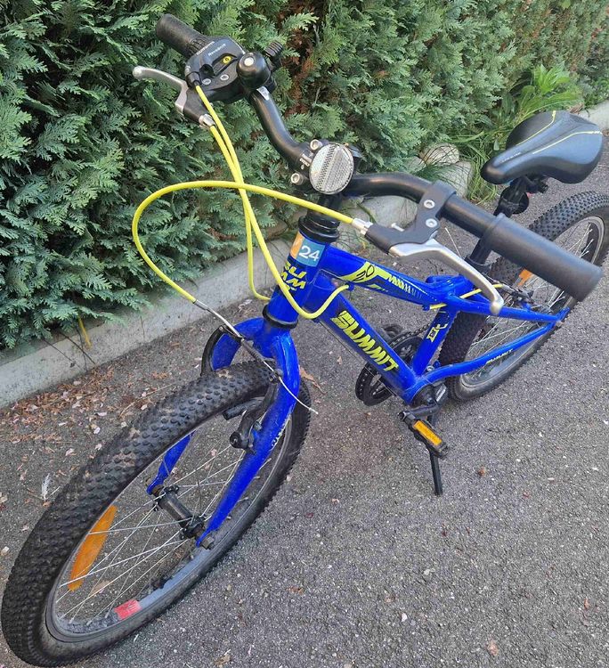 Blaues Summit Kinderfahrrad, 20 Zoll (Gebraucht) in Riehen für CHF 80 ...
