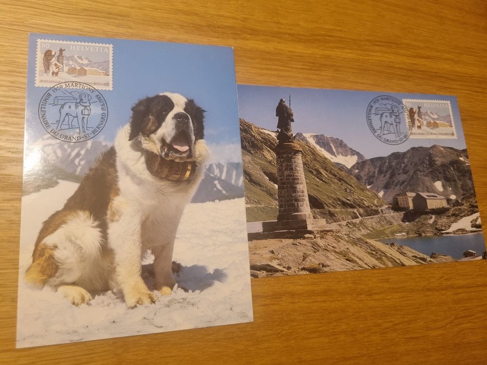 1989 Maximumkarten Bernardiner Hund (Gebraucht) in Arni AG für CHF 5 – mit Lieferung auf Ricardo ...