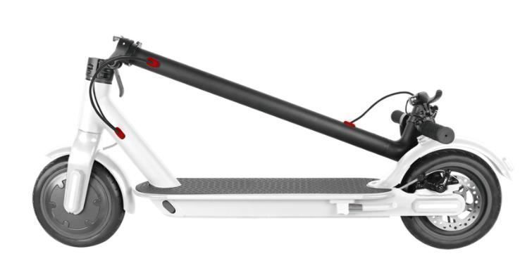 MPMAN E-Scooter (21062424PL) | Kaufen auf Ricardo