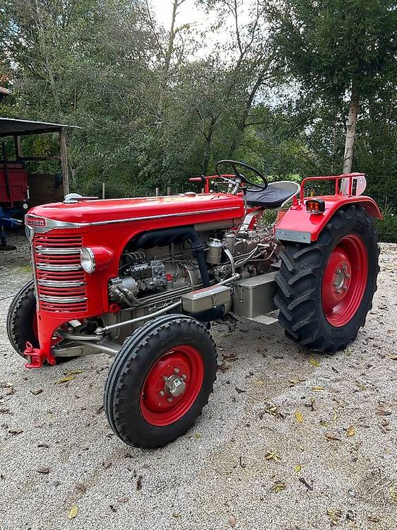 Tracteur Hurlimann D90 SSP (Gebraucht) in Rue für CHF 7300 – nur Abholung auf Ricardo kaufen