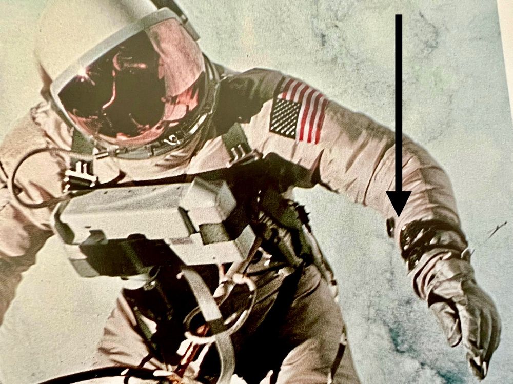 OMEGA original NASA 20mm Nato strap for Speedmaster Moon (Neu und ...