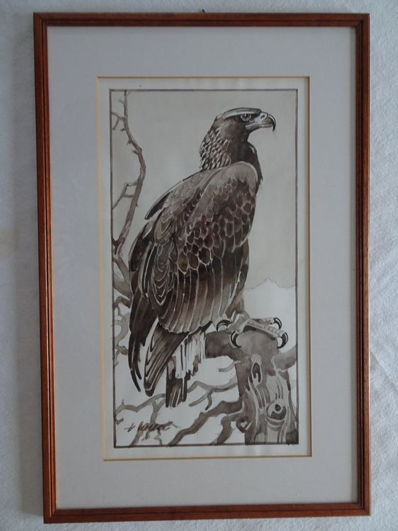 Adler grosses Aquarell signiert (Gebraucht) in Siebnen für CHF 45 – mit ...