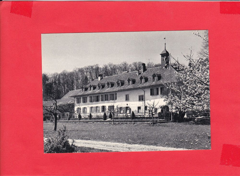 Inselhaus. St. Petersinsel (Gebraucht) in St. Peterzell für CHF 1 – mit Lieferung auf Ricardo kaufen