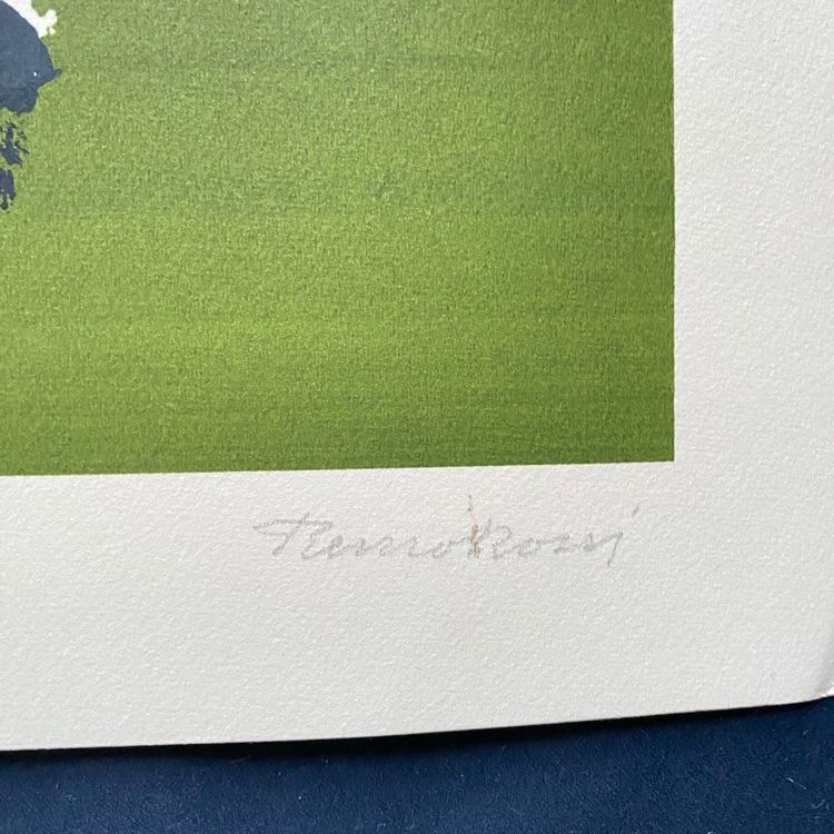 Remo Rossi, rara opera grafica - edizione limitata 74/75 (Gebraucht) in ...