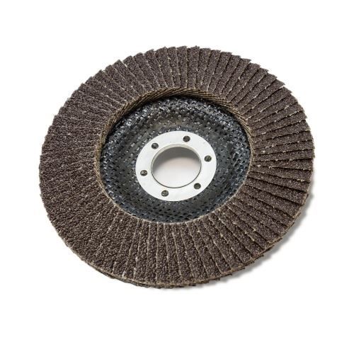 Fächerscheibe - 125 mm - Körnung 40 | Kaufen auf Ricardo