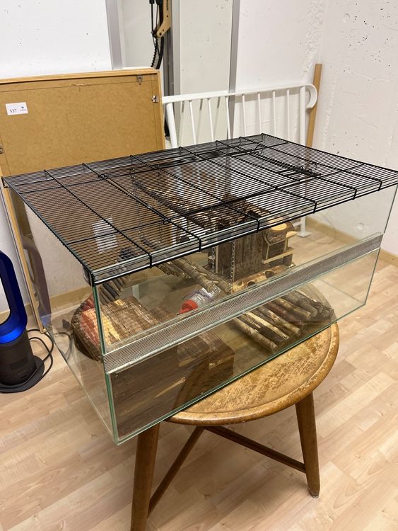 Mäusekäfig, nagerstall, Mäusestall Glas neuwertig (Gebraucht) in ...