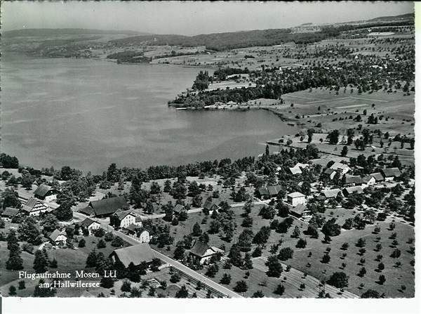 Mosen LU Campingplatz Flg Aufn. Hallwilersee 1966sehr gut er (Neu ...