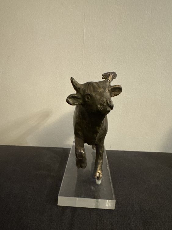 Freddy Röthlisberger (Gebraucht) in Buchs AG für CHF 200 – mit Lieferung auf Ricardo kaufen