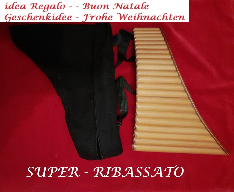 N Panflöte DAJOERI 22 tubi (SOL) G incluso fodero e libro (Usato) a ...